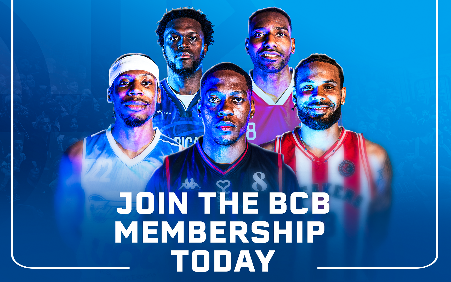JOIN THE BCB MEMBERSHIP TODAY - INVEST IN THE FUTURE OF BRITISH BASKET ...